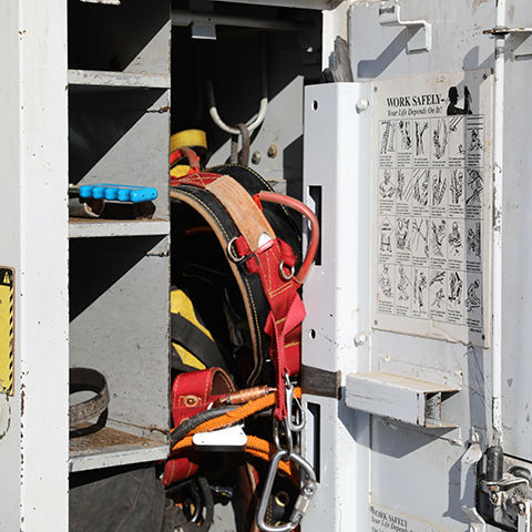 4 Features to Consider when Choosing Tree Service Work Trucks | Comvoy